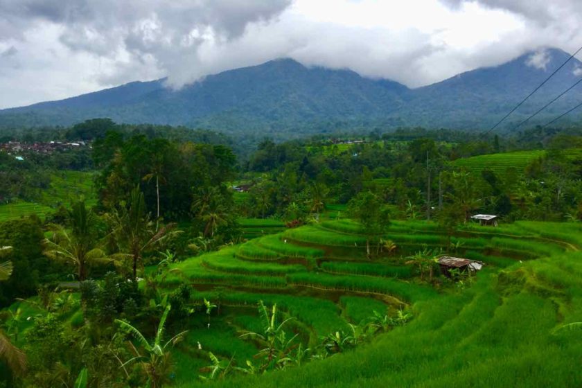 Die schönsten Reisterrassen auf Bali PETERSTRAVEL