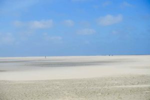 Texel Strände: Welches ist der schönste Strand auf Texel? PETERSTRAVEL